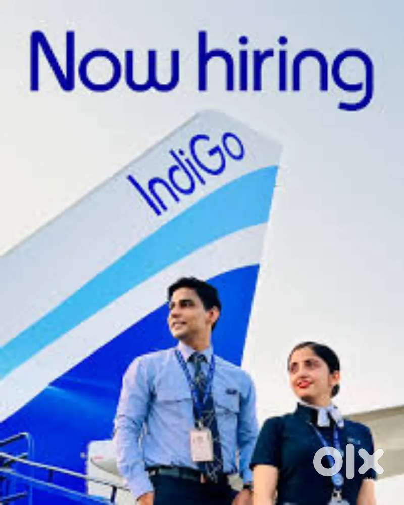 Indigo start hiring fresher also apply - Other Jobs - 1784761848