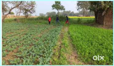 Sale Residential Plot, Form house , Khet Land & House - Lands & Plots ...