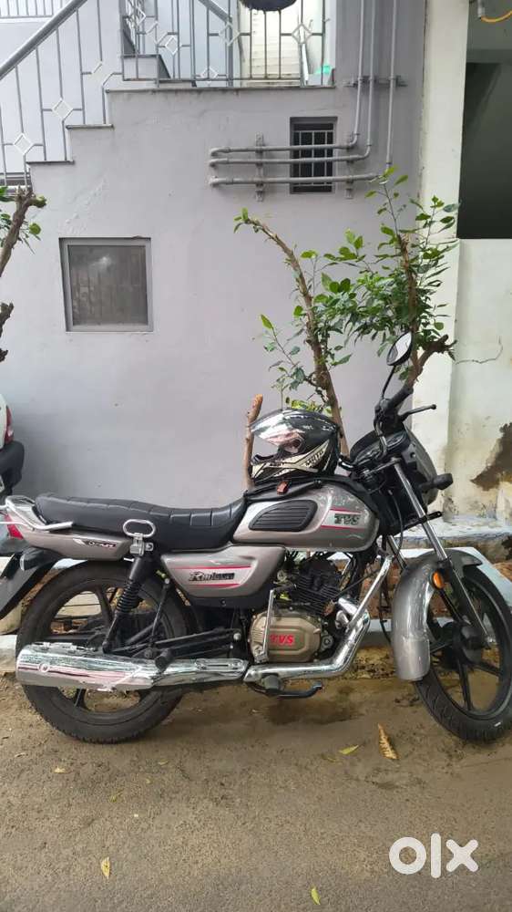 TVS RADEON 2024 - Motorcycles - 1827584856