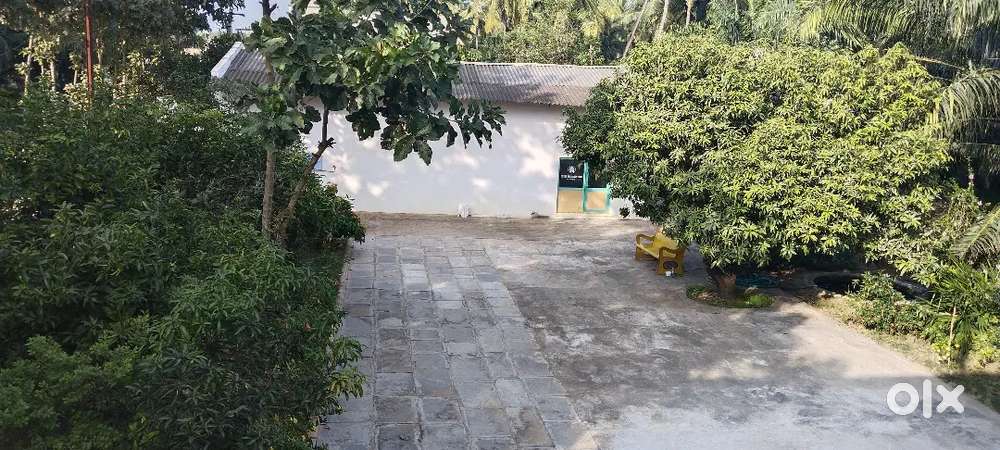 Godown for rent - available for small scale set-up like pickle making ...