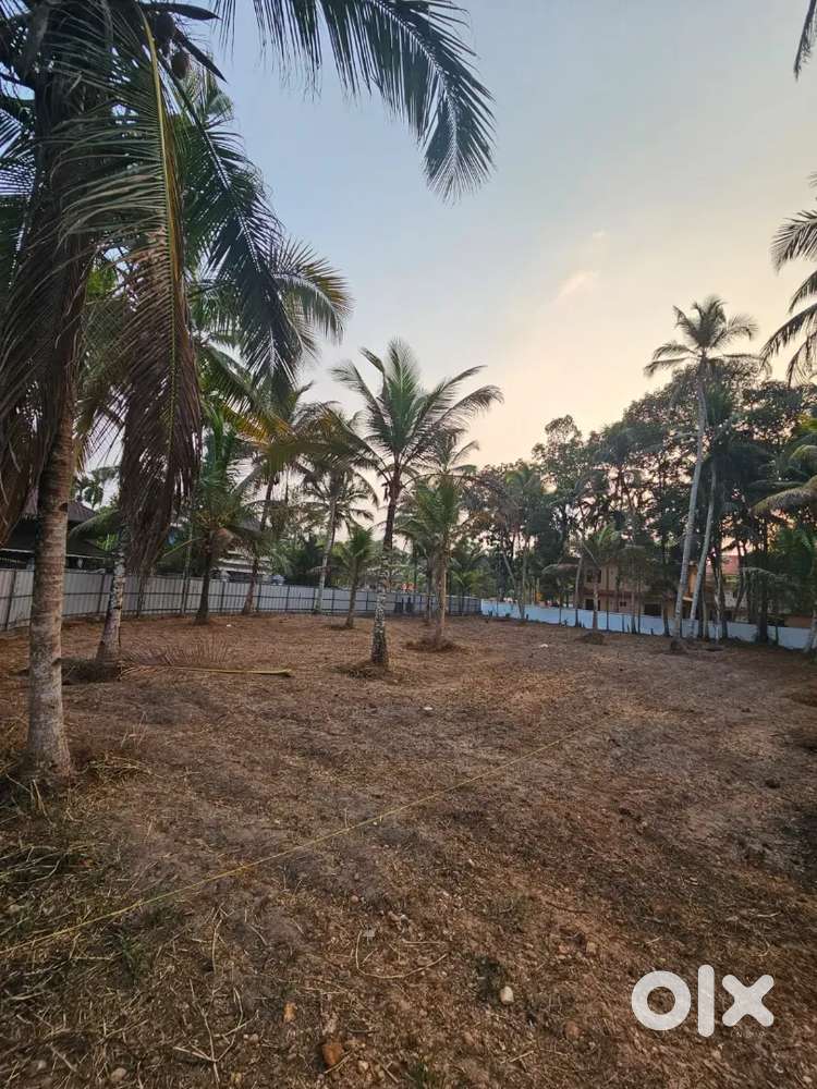 Land for sale near NH( close to chepad church) - Lands & Plots - 1818607297