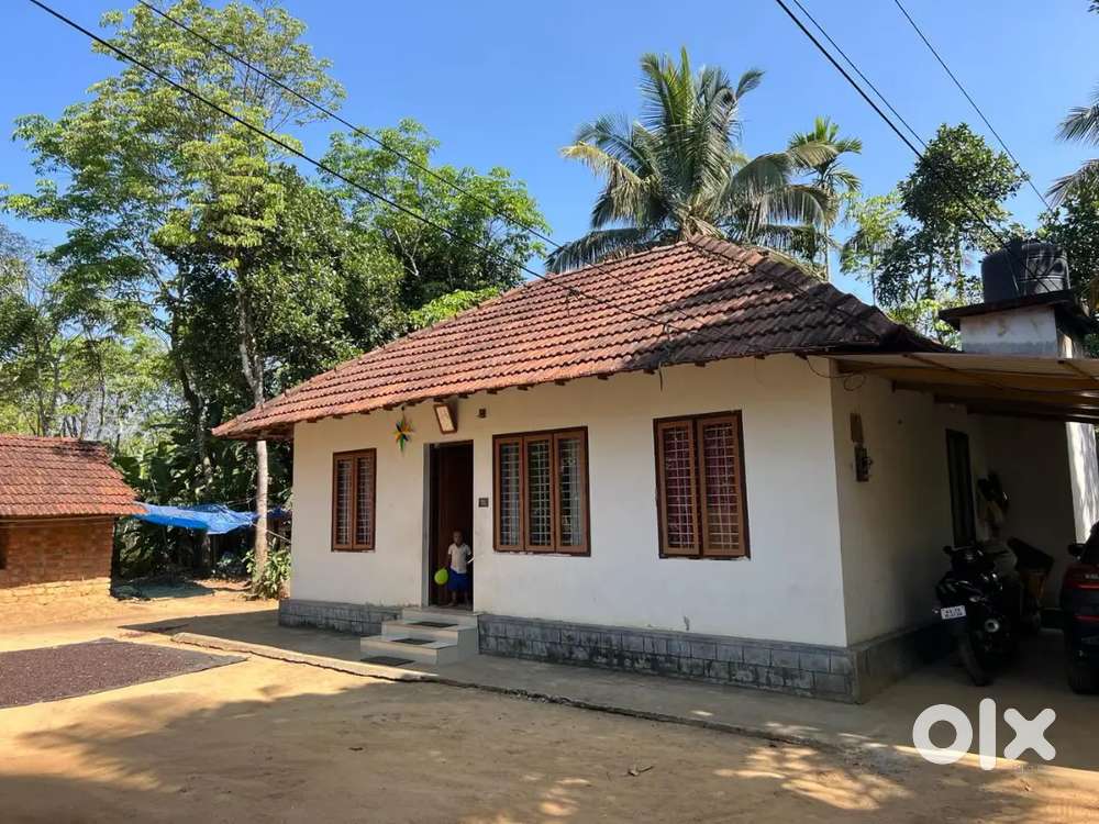 75 CENT LAND WITH HOUSE FOR SALE NEAR PAYYAMPALLY. - Lands & Plots ...