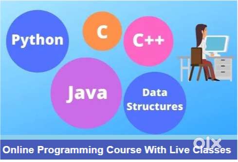 Online Classes!- Master Java, Python & Power BI – - Education & Classes - 1804070330