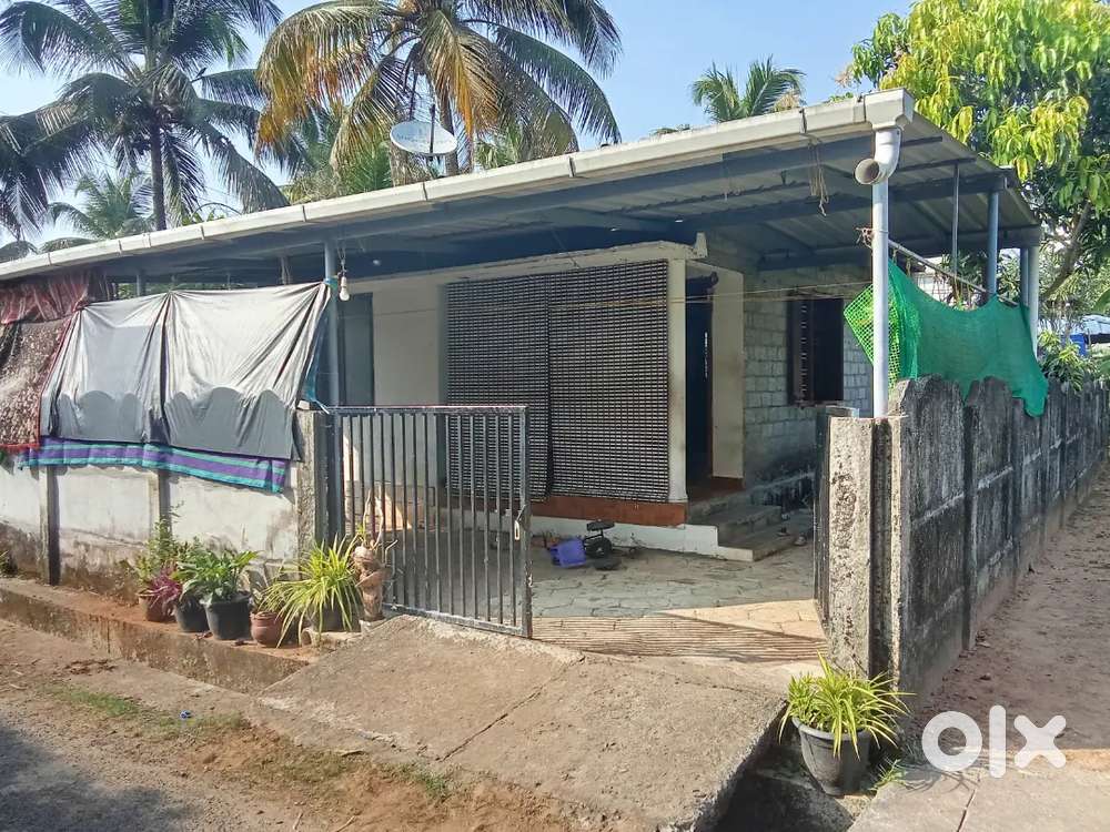 Vellangalloor varkshop center 100 meters 3.5 cent - For Sale: Houses ...