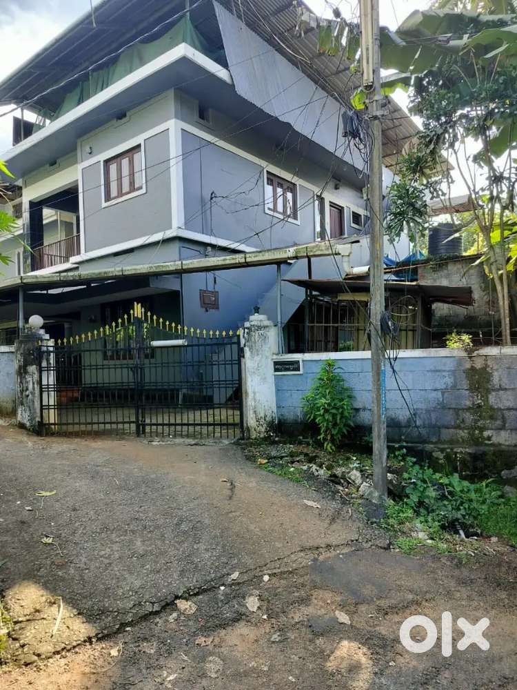 First floor - For Rent: Houses & Apartments - 1808522319