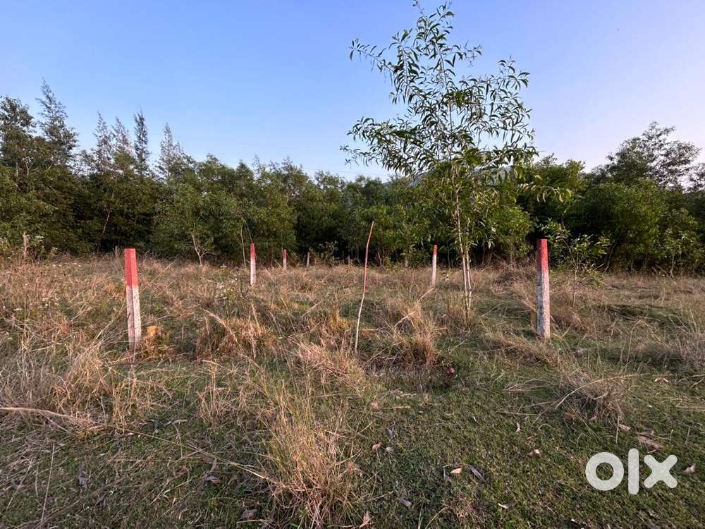 135 gajalu plot , gajam 11000rs - Lands & Plots - 1796275366