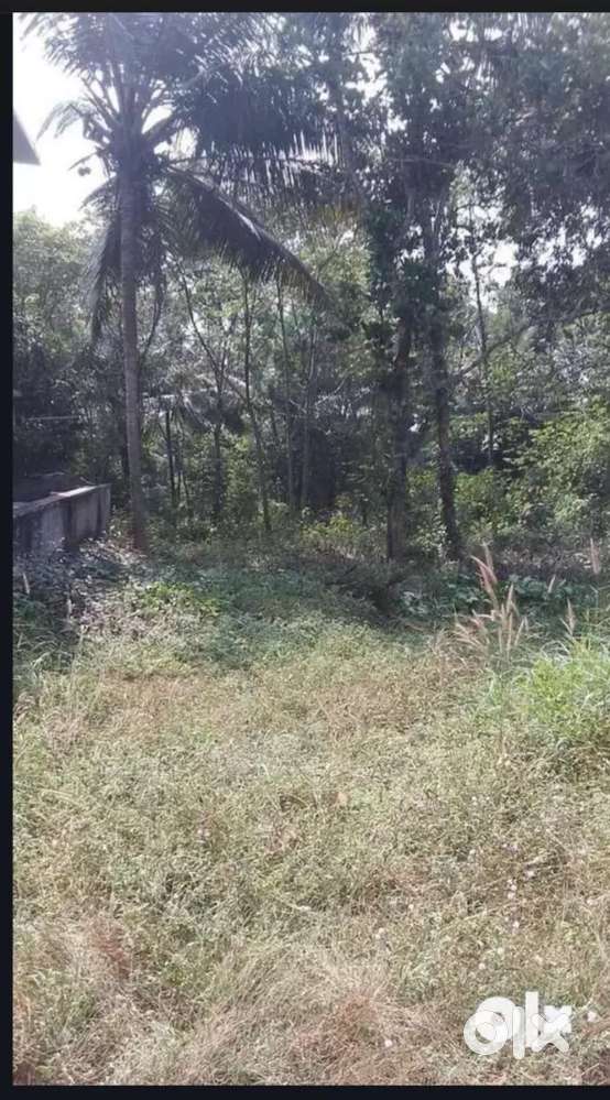 3 cent plot for sale urgent - Lands & Plots - 1802520300