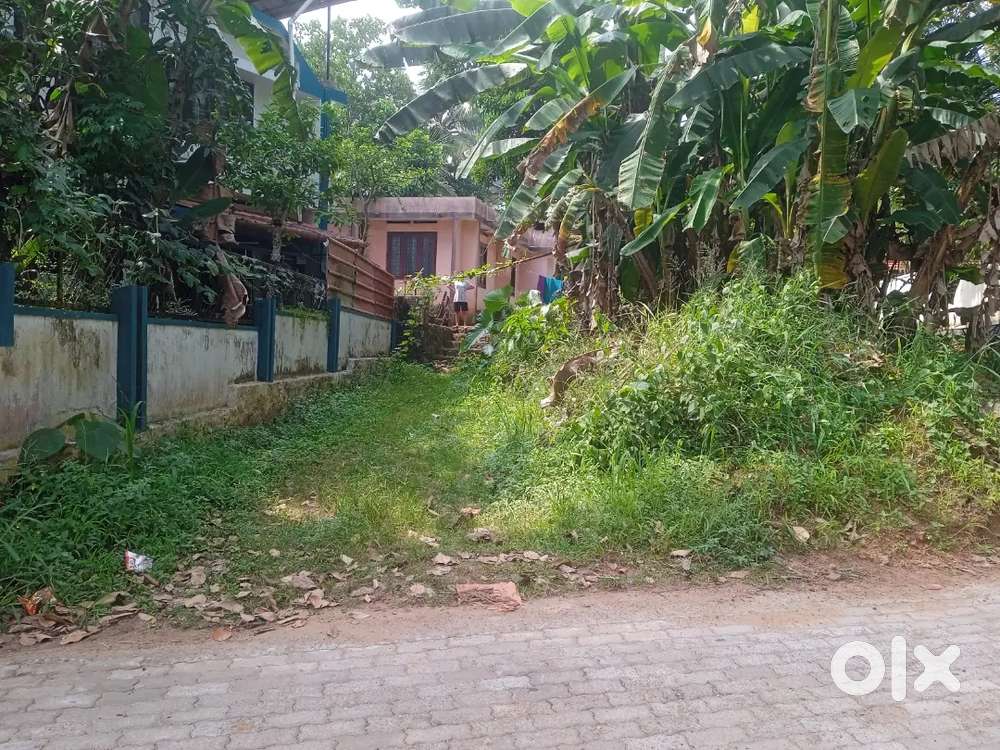 10 cent for sale 1 cent 4,25000 - Lands & Plots - 1825833680
