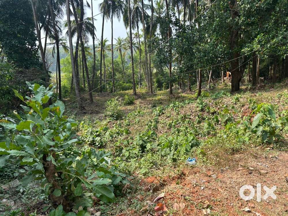 GOA Loliem canacona south Goa sattlement plot for sale - Lands & Plots ...