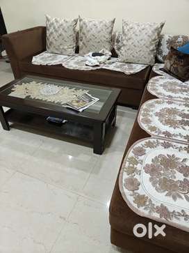 Olx used sofa set store