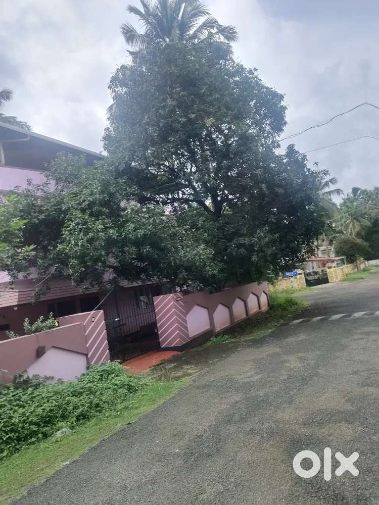 Thrissur paravattani V.N.P nagar 11.50 cent plot for sale - Lands ...