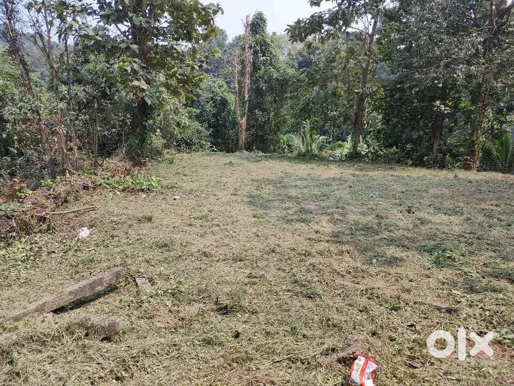 Lands & Plots for sale in Goa | OLX