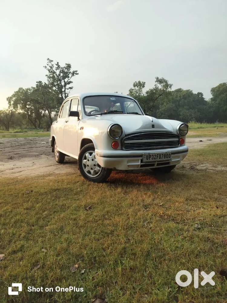 Ambassador Ambassador 2014 - Cars - 1819845995