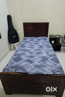 Olx divan bed store