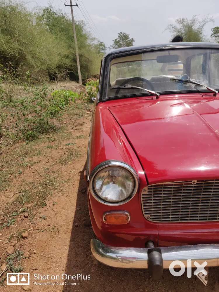 Fiat Premier Padmini Vintage vehicle - Cars - 1808903610