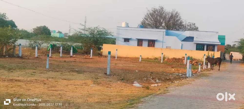 Commercial Land for Rent - Lands & Plots - 1802391455