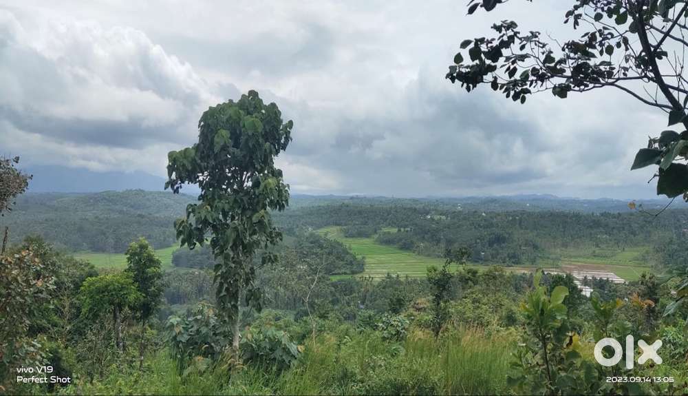8 Acres at Cherukattoor - Panamaram with tar road & Kabini boundary ...