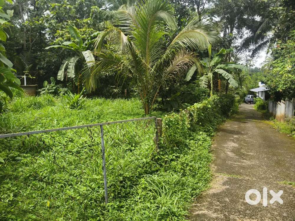 8 cents residential plot - Lands & Plots - 1812266348