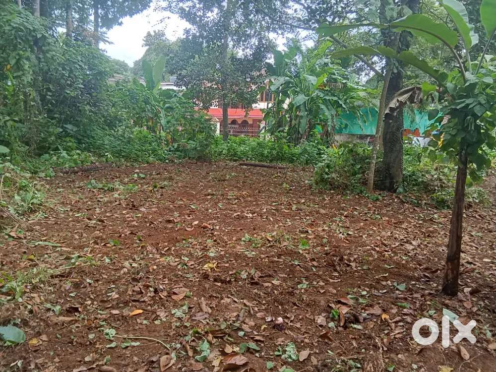 10 cent land near Lake front plot for sale - Lands & Plots - 1807632536