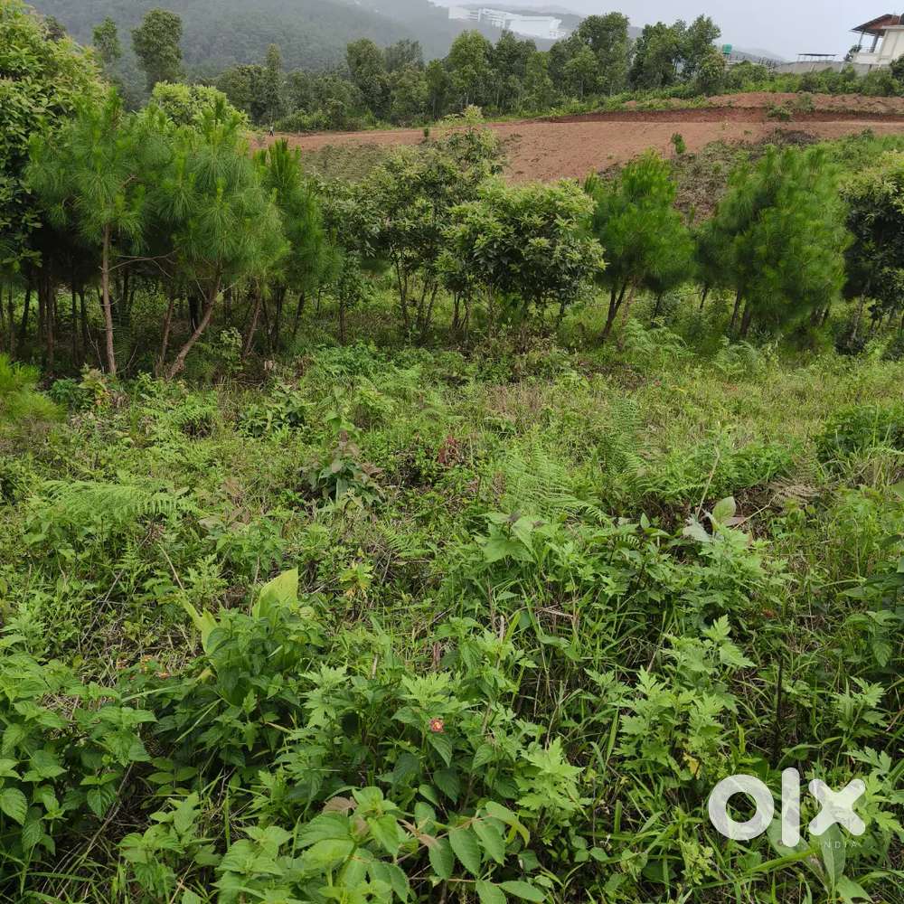 Jaka ban die new shillong Mawlong - Lands & Plots - 1815600605