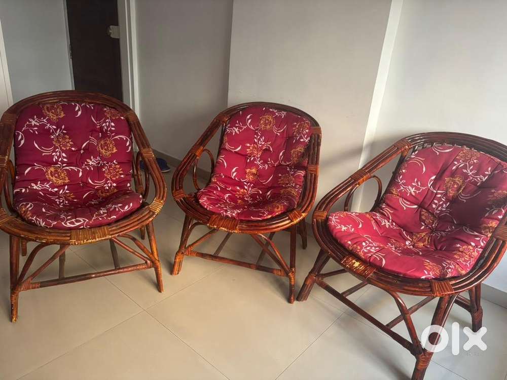 Three Cane Chairs with Cushion - Other Household Items - 1789952856