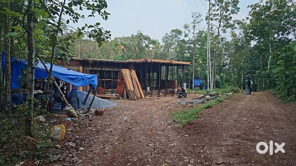 വസ്തു വാങ്ങാൻആയിട്ട് - Lands & Plots - 1828130074