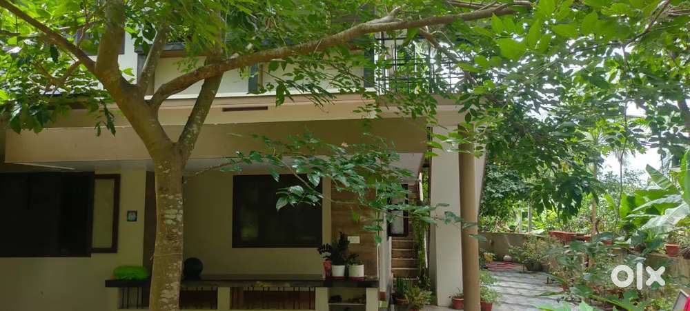 2Bhk upstair house for rent in chevayur, Kozhikode. - For Rent: Houses ...