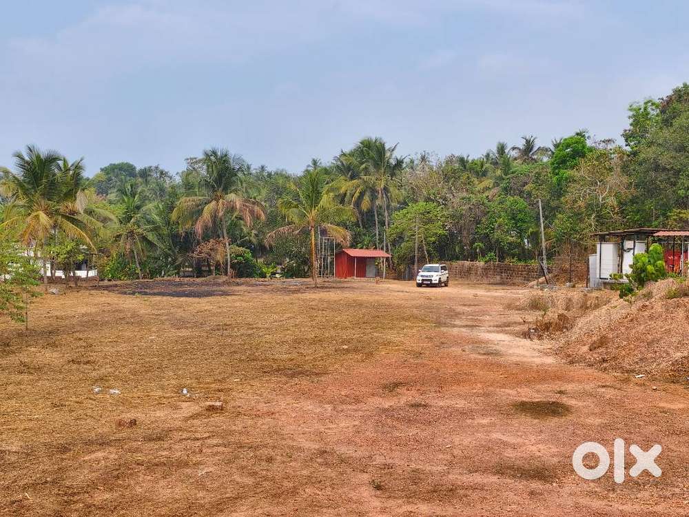 87 cent plot for rent - Lands & Plots - 1800181070