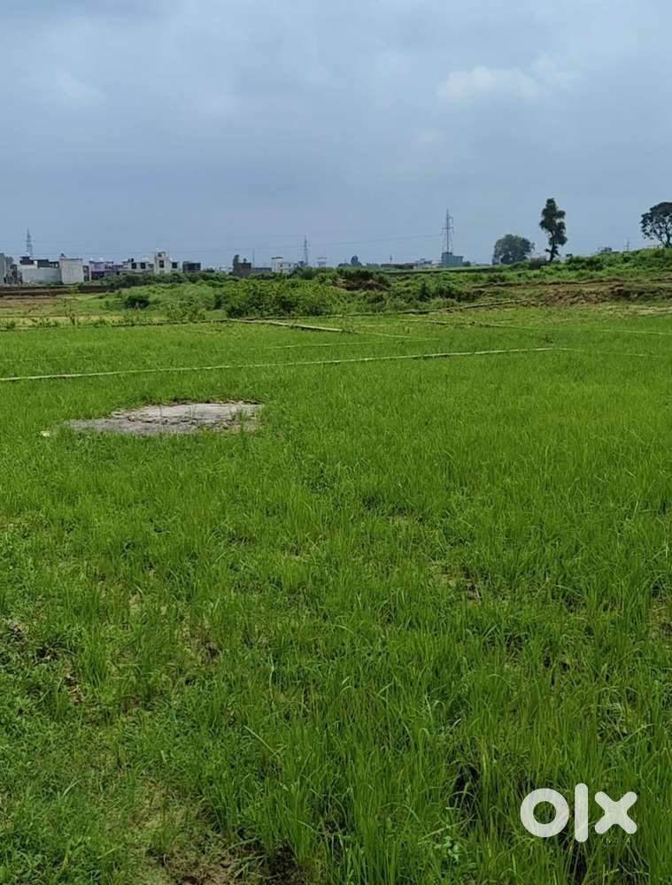 Prime Plots for sale in Dehradun - Lands & Plots - 1814120383