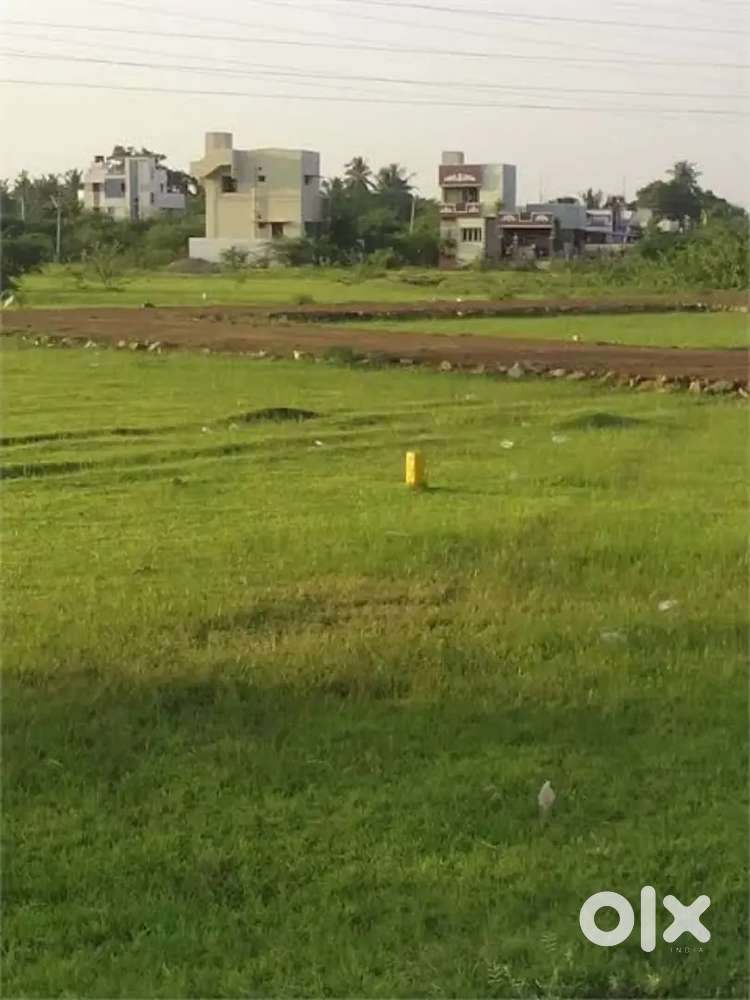100 acres of land beach facing in Mangodu village - Lands & Plots in ...