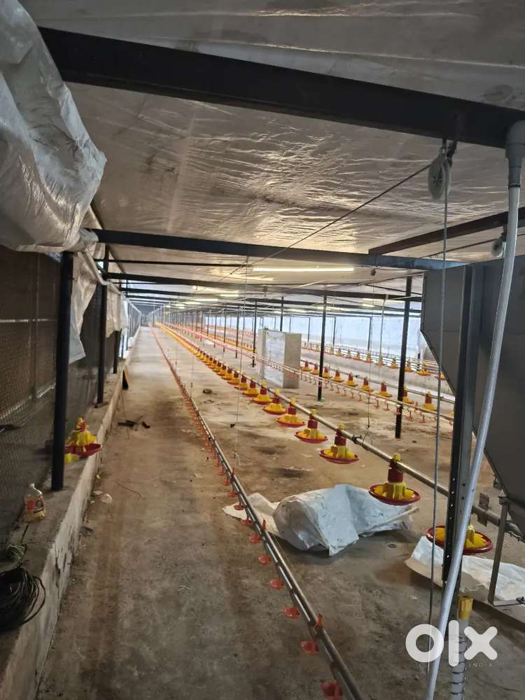 Two said EC poultry for rent - Lands & Plots - 1809946567