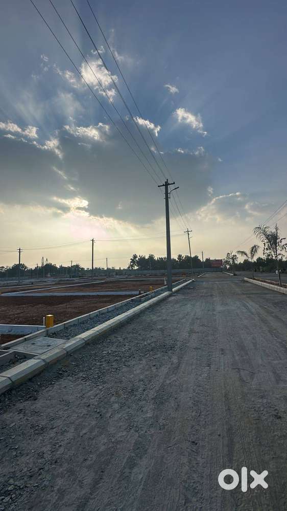 High-Potential Plot for Sale opp TVS company - Lands & Plots - 1807295784