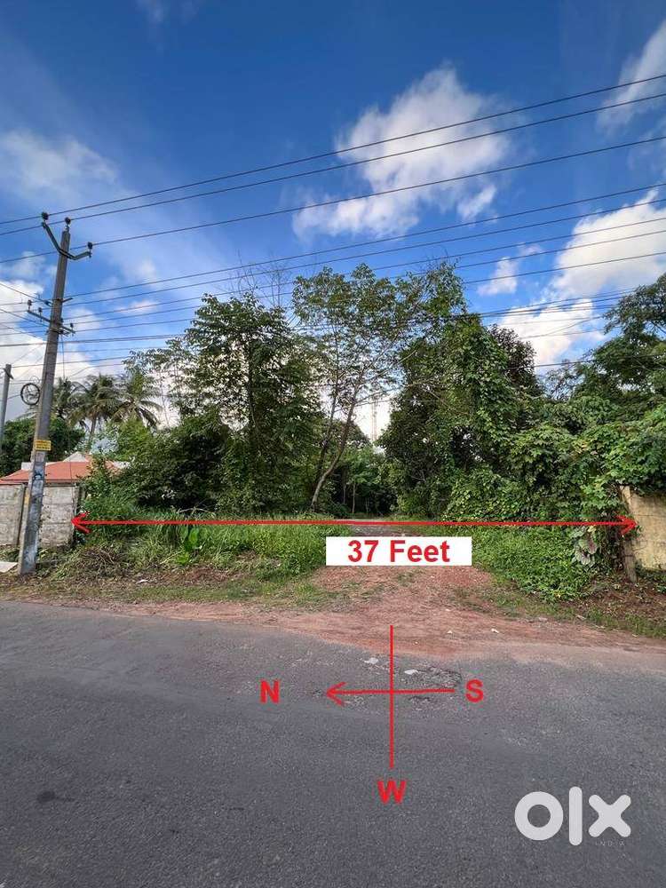 1.92Cr., 24 Cnts, Jawahar Rd, Anchery-NehruNager, Kuriachira, Thrissur ...