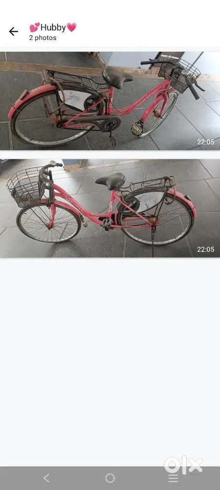 Lady bird ladies cycle - Bicycles - 1806417104