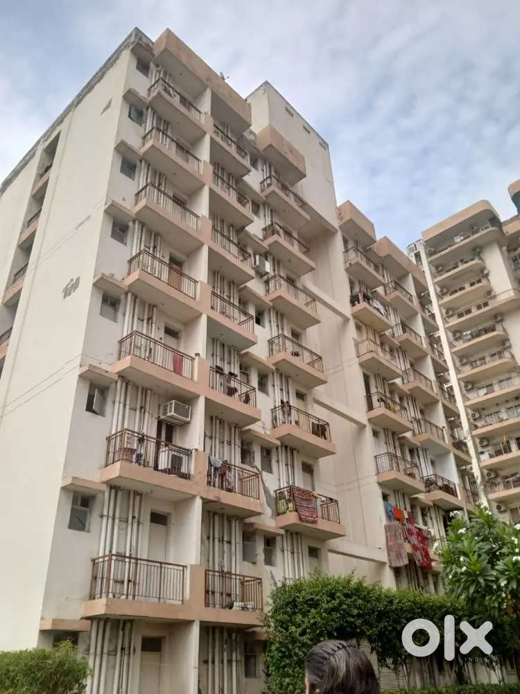 1rk flat pre rented - For Sale: Houses & Apartments - 1807740152