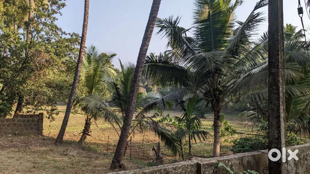 Lands & Plots for sale in Goa | OLX