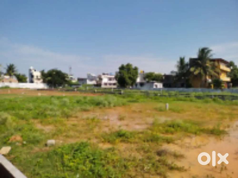 North facing land 5000sqft, pappampalayam, spb colony, solar, papper ...