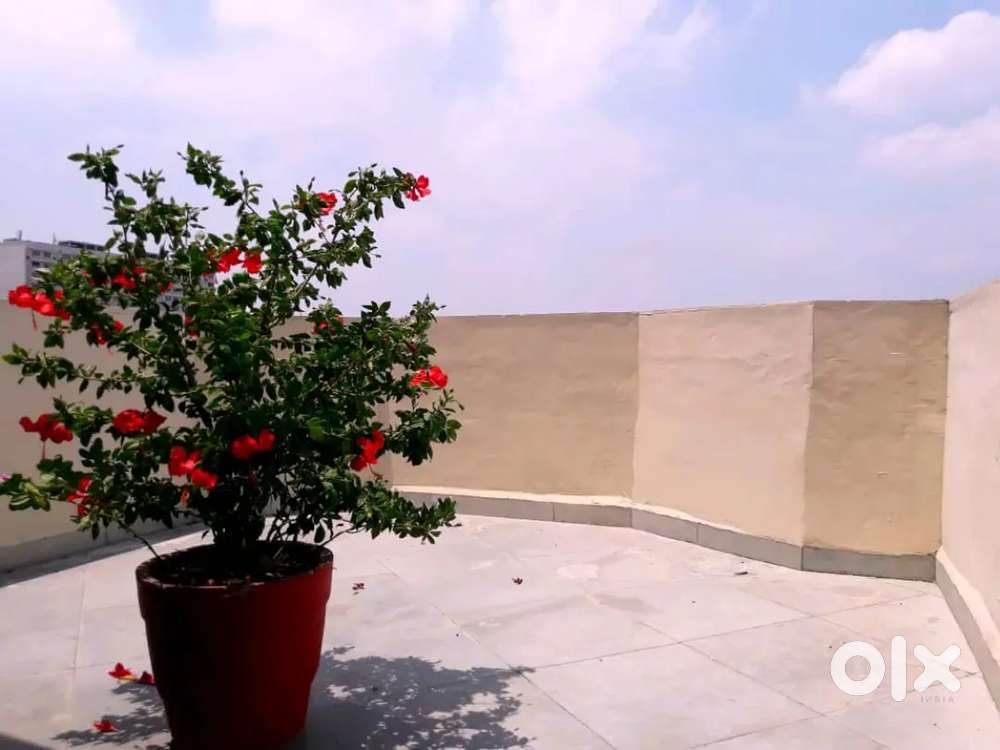 Buy & Sell House & Villa in Noida | OLX