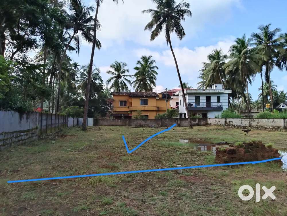 Empty land of 16 Cents 1.36 Cr (Negotiable) - Lands & Plots - 1823066668