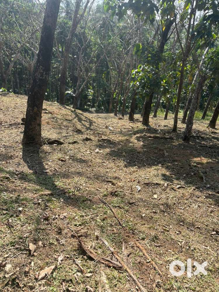 20 cent land - Lands & Plots - 1826975232