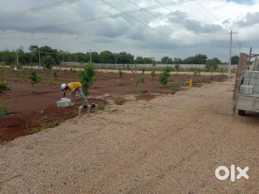 Farmland plot for sale - Lands & Plots - 1825183852