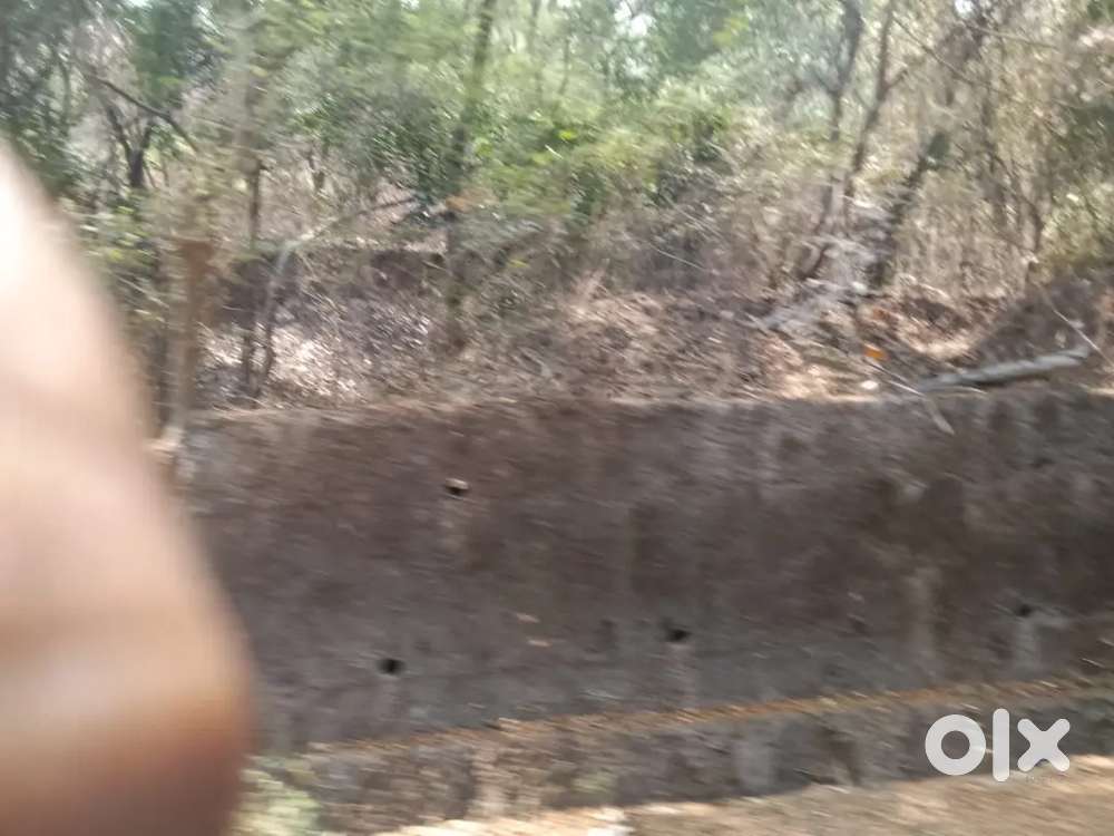 Lands & Plots for sale in Goa | OLX