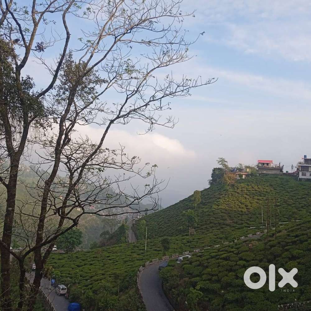 25 satak jomi - Lands & Plots - 1807637629