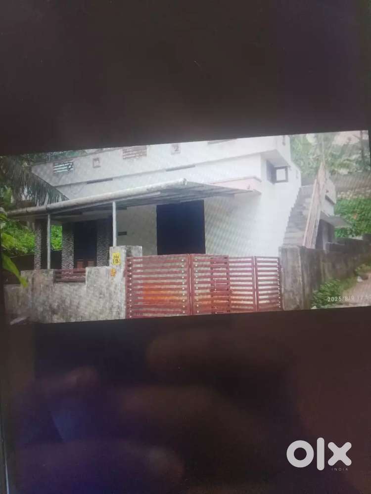 Rental house - For Rent: Houses & Apartments - 1817310296