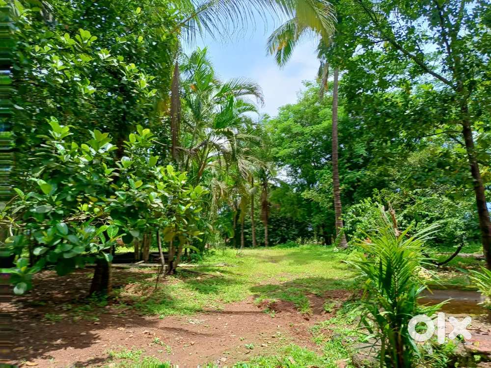 Lands & Plots for sale in Goa | OLX
