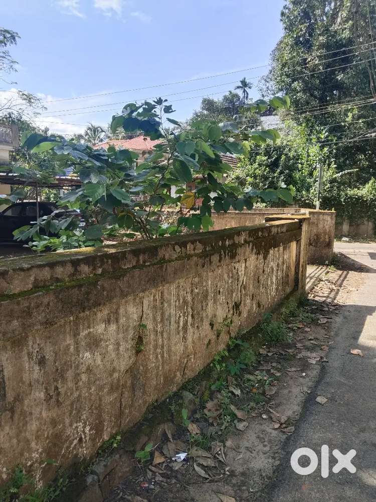Thrissur nellikunnu 9 cent plot for sale per cent 10.50 lakh - Lands ...