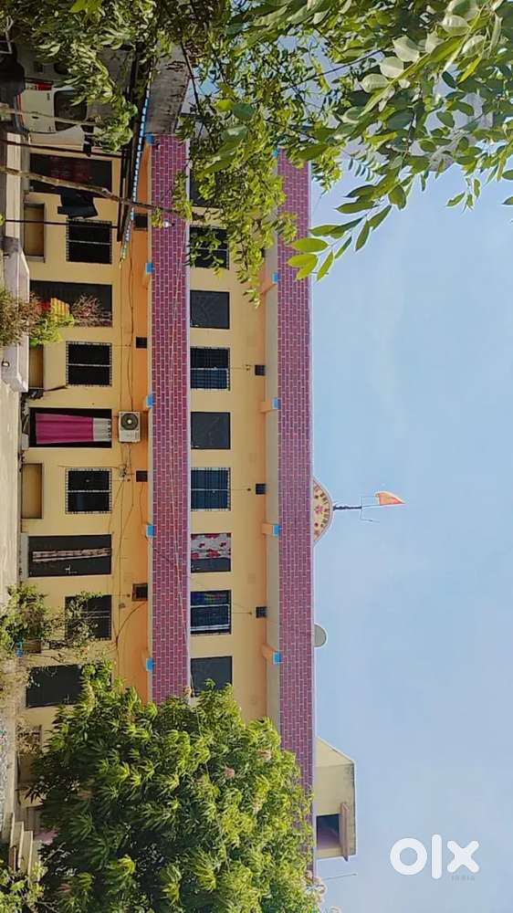 Room For Rent - Rent Houses, Apartments and Flats in India | OLX