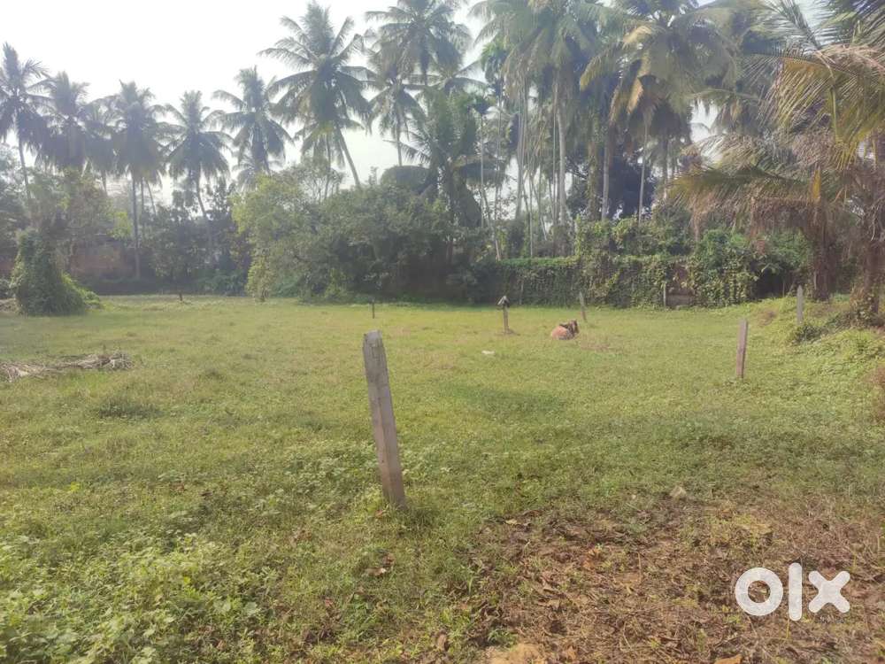 NH road side 2 & 3 acare & farming purpose,30 & 40 acare property AVL ...