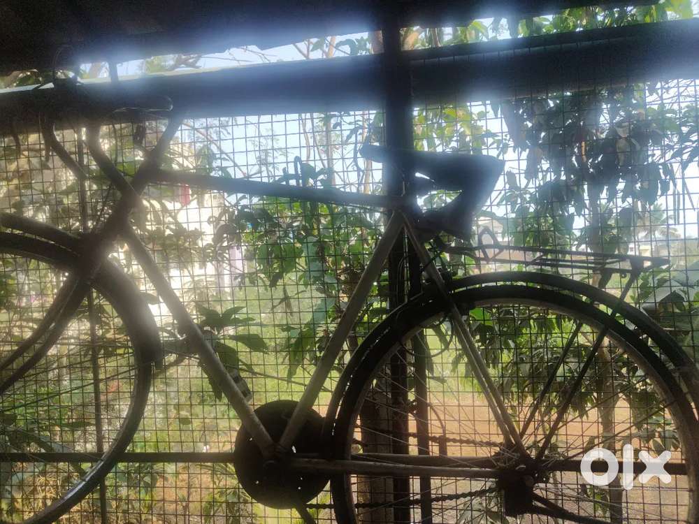 Vikane ahe - Bicycles in Satguru Colony, Kolhapur - 1839217937