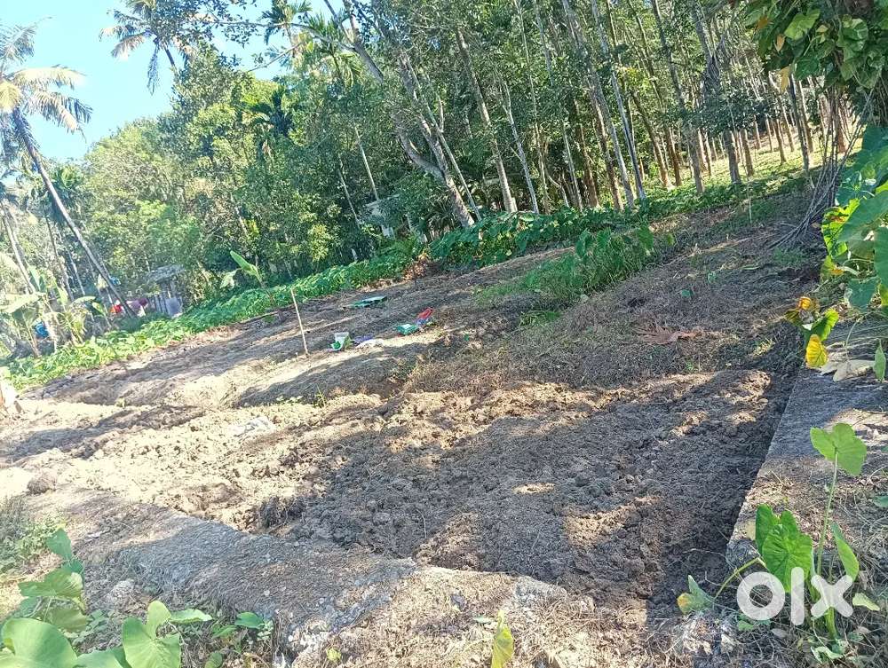 8 cent land kara nilam. Veedu vekkan - Lands & Plots - 1802748933